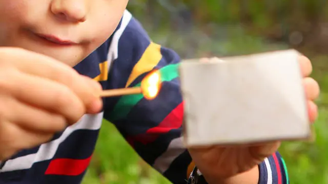 Home | firearson.com