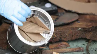 Home | firearson.com